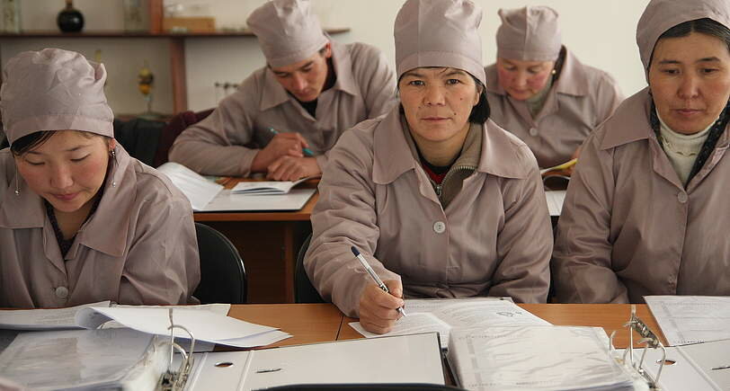 VESD II | Kyrgyzstan | Helvetas