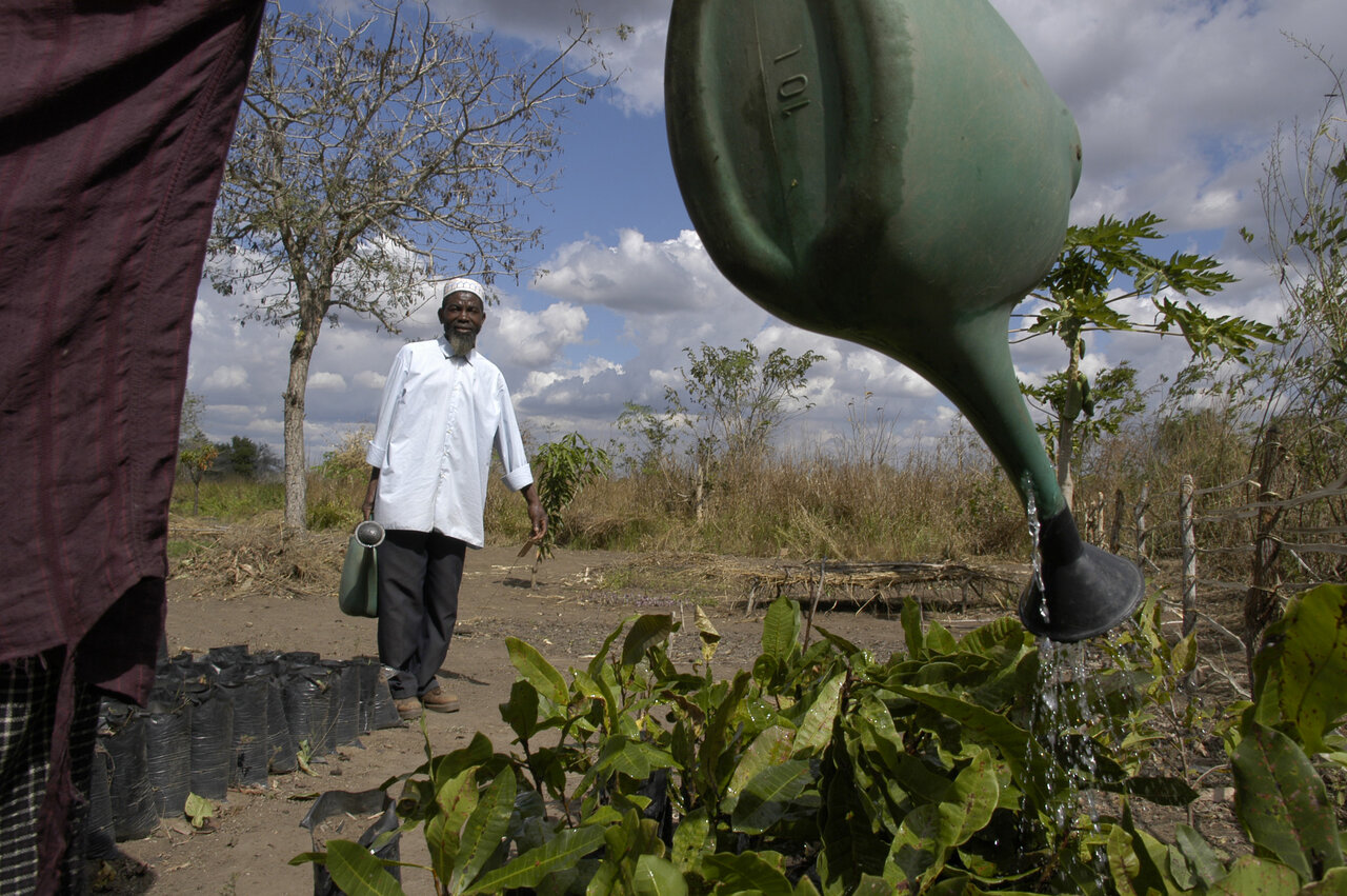 Coordinating the Water Integrity Multi-Country Programme